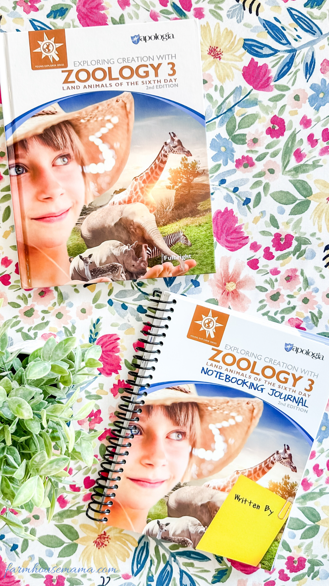Homeschool Curriculum Picks for 3rd Grade · Farmhouse Mama